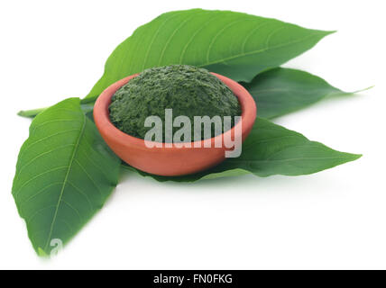 Vitex Negundo or Medicinal Nishinda leaves with flowers Stock Photo ...