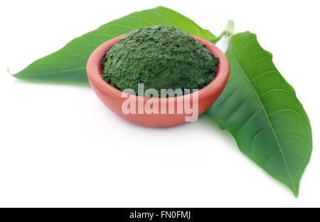 Vitex Negundo or Medicinal Nishinda leaves with flowers Stock Photo ...