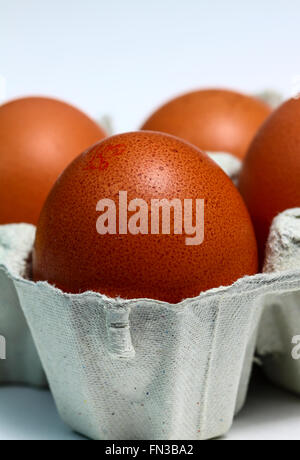 fresh hens eggs Stock Photo - Alamy