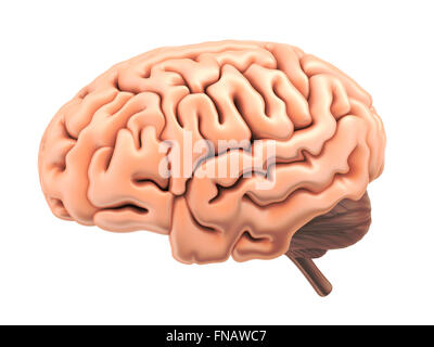 Brain icon isolated on 3d blue round button abstract illustration Stock ...