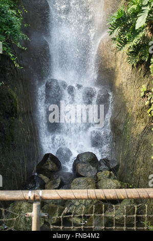 The Waterfall, Eden Project Stock Photo - Alamy