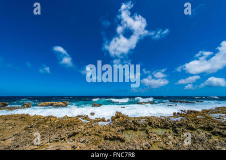 Lovely Bonaire with his beautiful landscapes, beaches and amazing reefs ...