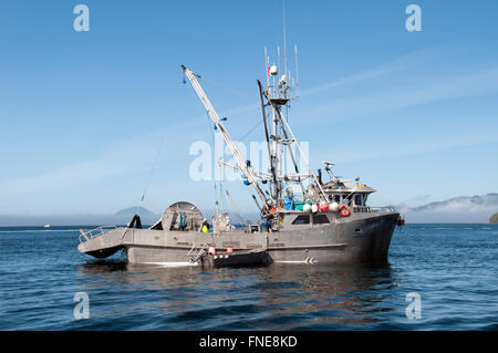 A wild salmon gillnet fishing boat in the Great Bear Rainforest region ...