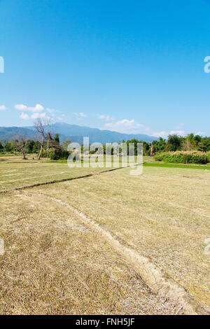Traditional Rural Farming Scene in Pankisi Gorge, Georgia Stock Photo ...