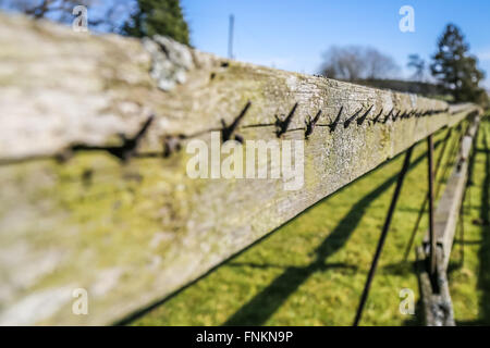 The last remaining tenterhook frames in the world. Tenterhooks were ...