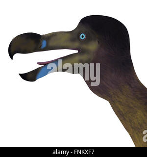 The Dodo is an extinct flightless bird that lived on Mauritius Island ...