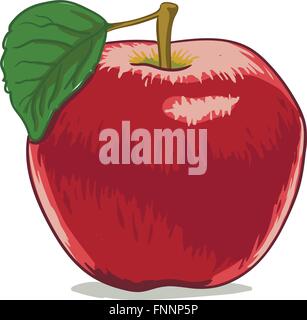 Apple Delicious fruit Stock Vector Image & Art - Alamy