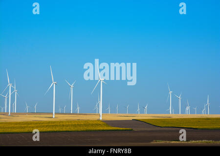 Wind turbines farm on a rural background Stock Photo - Alamy