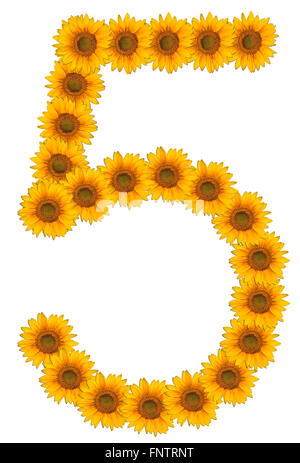 numbers of flowers of sunflower on a white background Stock Photo - Alamy