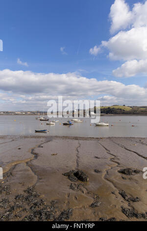 River Tamar taken from the Saltash side Stock Photo - Alamy