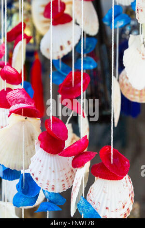 Sea shells in a gift shop in Kenting, Taiwan Stock Photo - Alamy