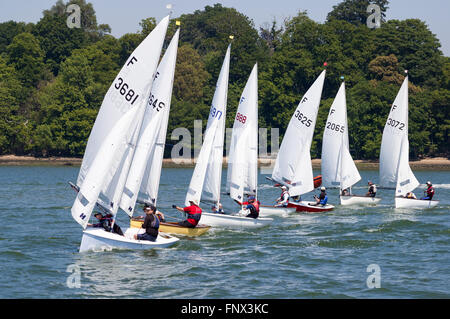 Firefly sailing race of the Royal Harwich Yacht Club at River Orwell ...
