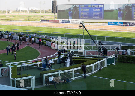 Overlooking the paddock at Meydan racecourse Dubai Stock Photo - Alamy