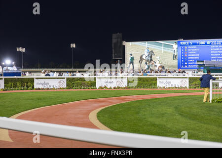 The paddock at the Meydan racecourse, Dubai Stock Photo - Alamy