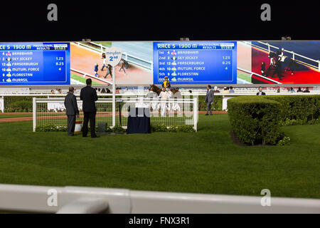The Paddock at the Meydan racecourse Dubai Stock Photo - Alamy