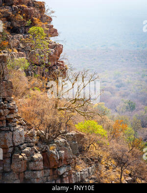 Moremi Gorge (Goo Moremi) is a deep ravine in rural Botswana, Africa ...