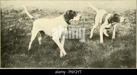 The book of photography; practical, theoretical and applied (1905 Stock ...