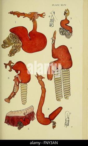 This illustration in 'The British Parasitic Copepoda' depicts a ...