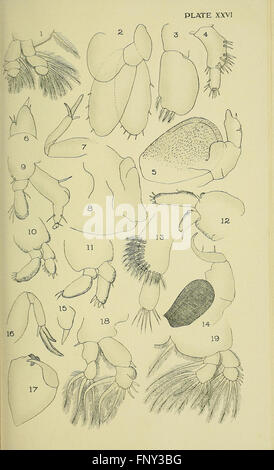 This work focuses on the British parasitic Copepoda, detailing their ...