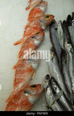 Fresh fish are displayed on ice at the Newton Hawker Center in ...