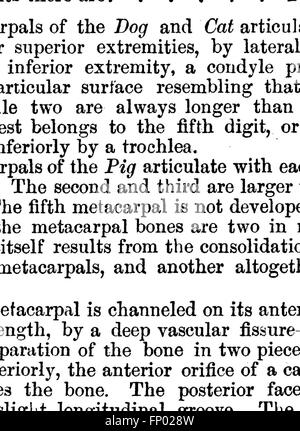 This 1873 text explores the comparative anatomy of domesticated animals ...
