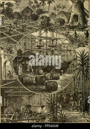 This 1902 book offers a comprehensive history of the United States ...