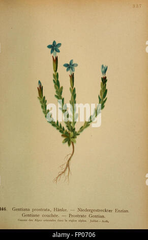 This atlas showcases the diverse plant life found in the Alps, focusing ...