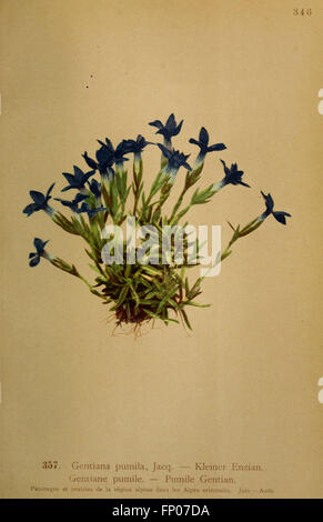 The 'Atlas of Alpine Flora' provides a detailed guide to the plant ...