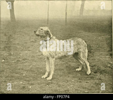 This 1911 book provides a comprehensive natural history of British dog ...