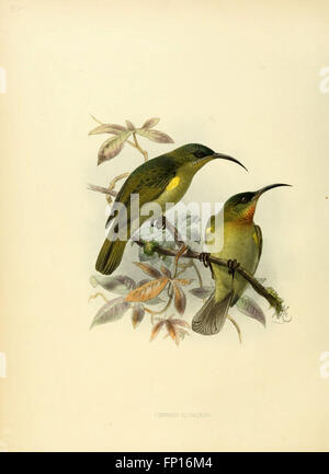 This monograph focuses on the classification and biology of North ...