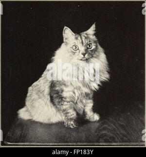 'Alexander and Some Other Cats' (1929) is a collection of short stories ...