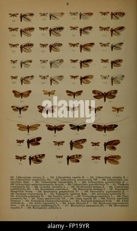 This plate illustrates various species of butterflies and moths ...