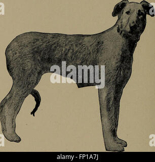 'Dogs of All Nations' (1903) is a collection of poems and descriptions ...