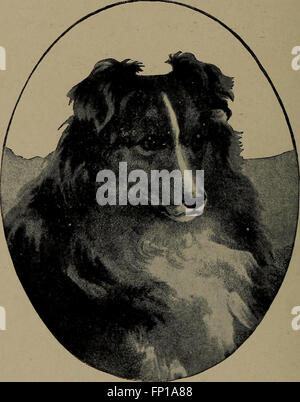 This 1903 work explores various dog breeds from around the world ...