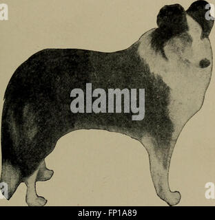 'Dogs of All Nations' (1903) provides descriptions of various dog ...