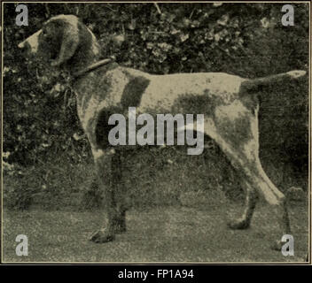 A 1903 publication combining prose and verse to describe various dog ...