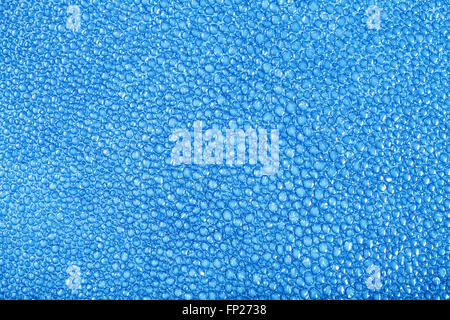 painted texture of natural stingray skin Stock Photo - Alamy