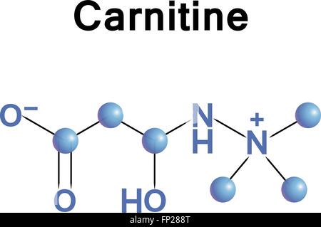 Carnitine food supplement molecule, chemical structure Skeletal formula ...