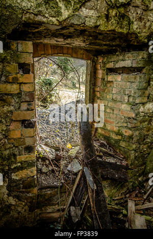 Blaenbaglan Farm, Port Talbot - 2014 Stock Photo - Alamy