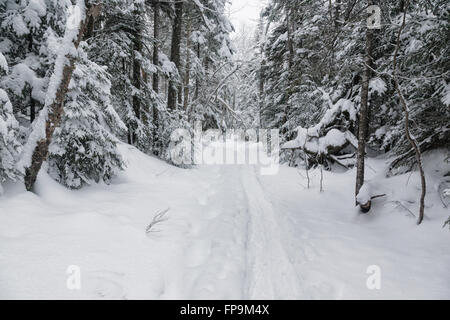 The Hancock Notch Trail in Lincoln, New Hampshire during the spring ...
