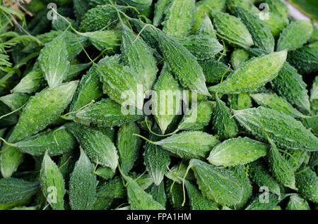Bitter Gourd (Momordica charantia Linn) Carila fruit vegetables, Tamil ...