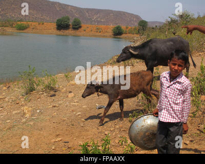 The rainwater storage tank (johad) at the Mandalwas village (India ...