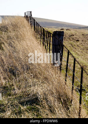 Australia, South Australia, Burra, country fence Stock Photo - Alamy