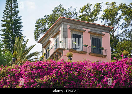 Quinta Vigia garden . Funchal, Madeira island. Portugal Stock Photo - Alamy