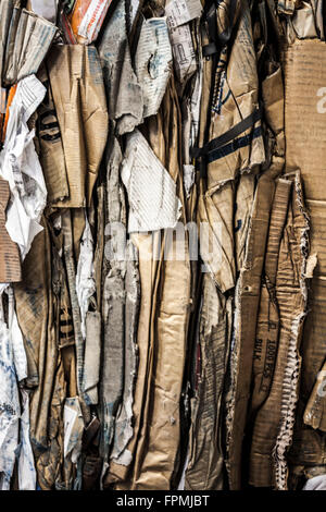 Cartons and stacks of waste paper, waste paper collection, green bin ...