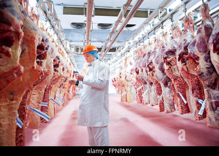 A butcher cutting a beef carcass in a butchers shop Stock Photo - Alamy