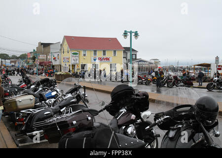 Wharf Rat Motorcycle Rally in Digby Nova Scotia Stock Photo - Alamy