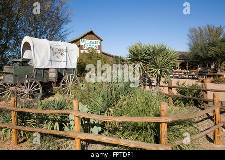 Wildflower Farm, Fredericksburg, Texas Stock Photo - Alamy