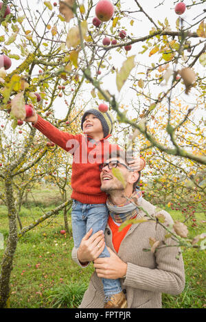 Smiling man in hat choosing decorations at Christmas market outside ...