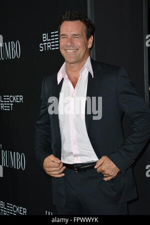 LOS ANGELES - OCTOBER 27: David Ortiz at the World Series on Fox - Game ...